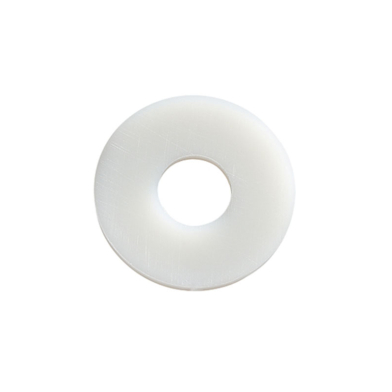 Nylon DIN 9021 Penny Washers